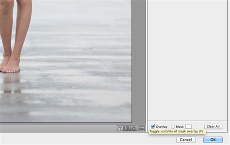 How To Make The Most Out Of Graduated Filters In Post Camera Raw Makes It Easy