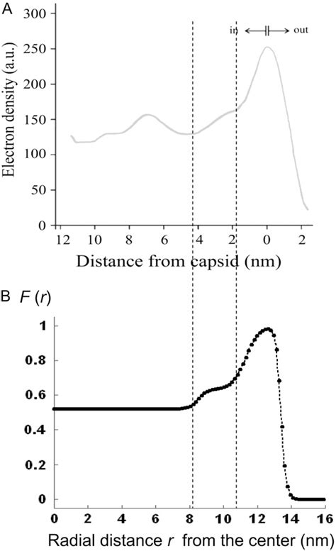 Figure 2 From Impact Of Chemical And Structural Anisotropy On The Electrophoretic Mobility Of