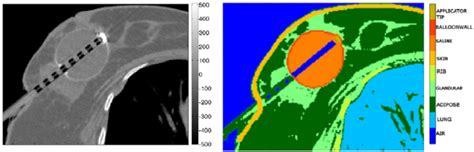 A Materialdensity Geometry Right For A Geant4 Simulation With A Download Scientific Diagram