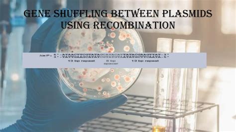 Cloning Vectors Plasmid Pdf Free Download