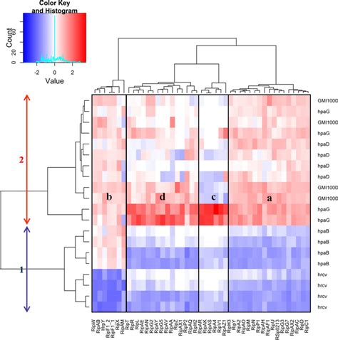Double Hierarchical Clustering Of Bacterial Strains And T3 Proteins