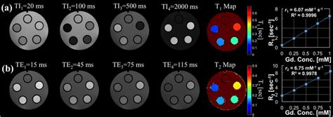 Multiple 2d Spin Echo Inversion Recovery Images A And 2d Spin Echo Download Scientific