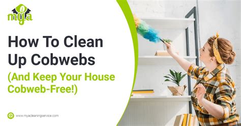 How To Clean Up Cobwebs And Keep Your House Cobweb Free Blog
