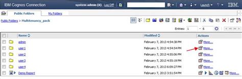 Business Analytics Setting Up Multi Tenancy Environment In Ibm Cognos 102 Bi Using Ldap