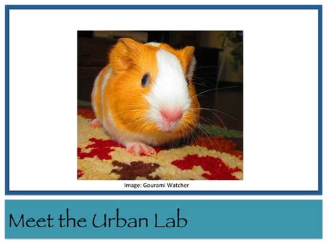 On The Reproducibility Of Science Pdf