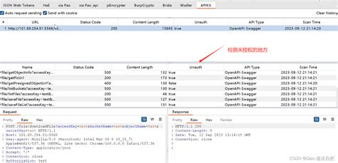 day91：api攻防 接口安全andsoapandopenapiandrestfuland分类特征导入and项目联动检测 api接口安全检测 csdn博客