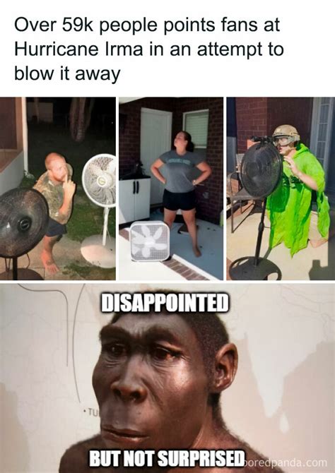 People Are Making Fun Of Evolution Of Pretty Much Everything With Hilarious Memes Bored Panda