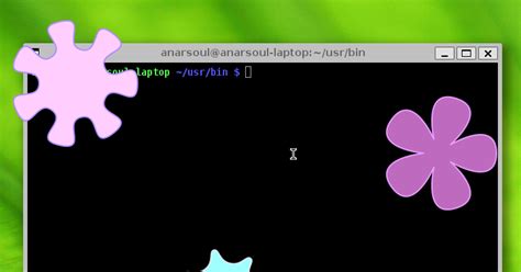 Wayland And Software Rendering