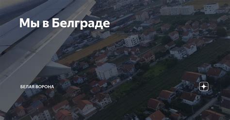Мы в Белграде Белая ворона Дзен