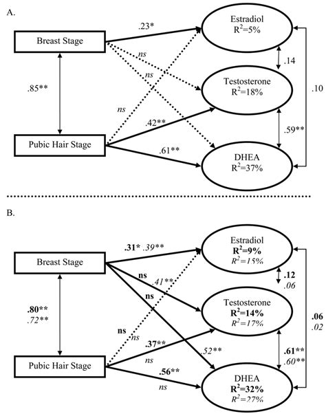 Structural Equation Model for Girls A Standardized β Coefficients Download Scientific