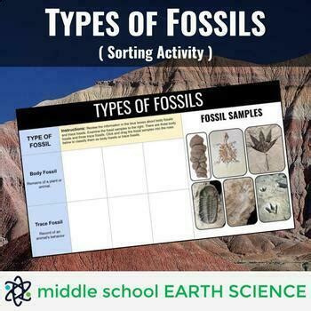 Types Of Fossils Sorting Activity By Middle Babe Earth Science