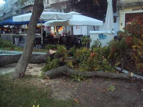 ΛΕΥΤΕΡΙΑ ΠΛΑΤΕΙΑ ΕΛΕΥΘΕΡΙΑΣ ΚΑΤΕΡΙΝΗΣ ΚΑΤΕΦΤΑΣΑΝ ΟΙ ΠΥΡΟΣΒΕΣΤΕΣ ΚΑΙ ΤΕΜΑΧΙΣΑΝ ΤΟ ΣΑΠΙΟ