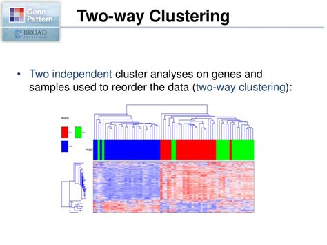 Ppt Clustering Powerpoint Presentation Free Download Id2386212