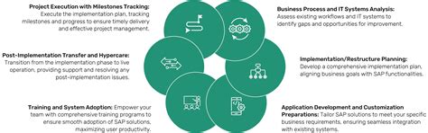 Sap Consultation And Implementation Services
