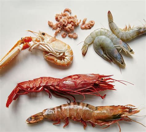 Five Crustaceans Borough Market