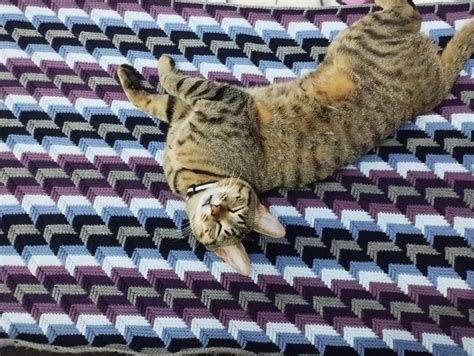 Missing Color Advice Needed Rcrochet