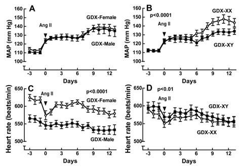 Sex Differences In Arterial Blood Pressure In Experimental Models Of Download Scientific