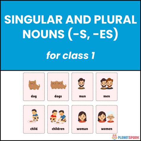 Singular And Plural Class 1 Grammar Worksheet Planetspark