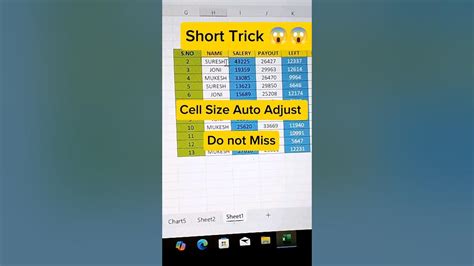 Auto Adjust Cell Size Trick 😱 Shorts Video Trending Excel New