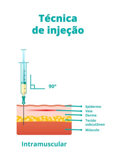 Tudo Sobre A Vacina Hepatite A Recomendações Reações E Mais
