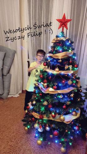 Tree GIF Tree Discover Share GIFs