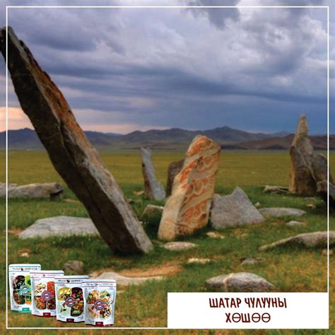 Эрүүл Хүнс Healthy Foods Баянхонгор аймгийн Эрдэнэцогт сумын нутаг аймгийн төвөөс зүүн хойш