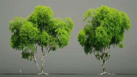 artstation ue5 tree test anime scenery game art winged people