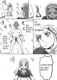 Wasabi Link to Zelda no Shoshinsha ni Yasashii Sex Nyuumon 링크와 젤다의 초심자에게 상냥한 섹스입문 The