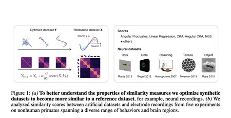 decoding similarity a framework for analyzing neural and mannequin