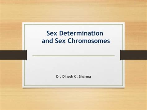 Sex Determination Chromosomal Theory Of Sex Determination Pptx