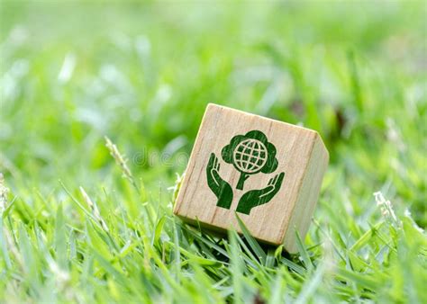 Wooden Cube With Symbol Of Mother Nature And Earth On Green Grass Stock