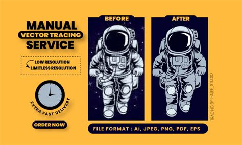 Do Manual Vector Tracing Of Logo Image Drawing In Ai By Halee Studio Fiverr