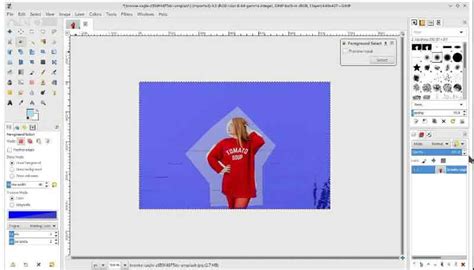 初学者在 Gimp 中删除图像背景的具体指南