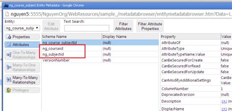 Retrieving Related Records In An Nn Relationship Using Queryexpression In Crm Bernado Nguyen