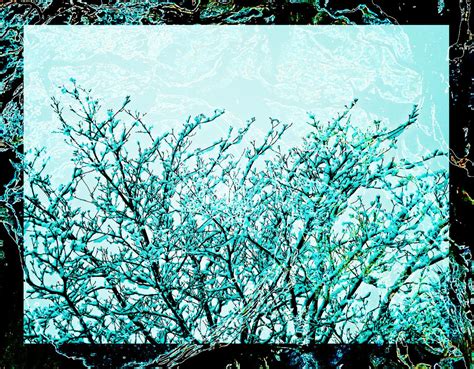 Layer Upon Layer Tree Upon Tree By Ranicat2014 On Deviantart