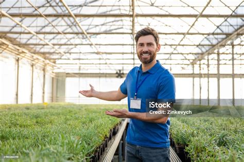 푸른 엉겅퀴를 입은 젊은 수염 난 남자가 온실에 서서 즐거워 보인다 40 44세에 대한 스톡 사진 및 기타 이미지 40 44세 남성 남자 Istock