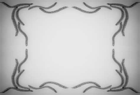 추상 꽃 구성 텍스트 흑백 사진에 대 한 공간을 가진 회색 배경에 꽃 귀걸이 헤이즐넛에서 빈티지 프레임 평면 위치 최고 보기 0명에 대한 스톡 사진 및 기타 이미지 Istock