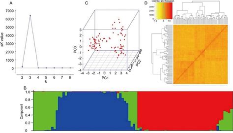 population structure analysis a magnitude of ∆k values with k ranging