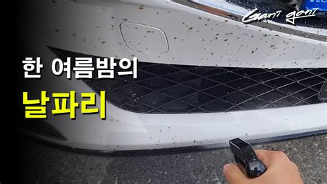 ★벌레 사체 자국 쉽게 지우는 방법★ 가니가니 Youtube