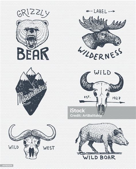 빈티지 손으로 그린 오래 된 라벨 또는 배지 캠핑 하이킹 사냥 회색곰 사슴 버팔로와 야생 돼지의 산 피크 두개골과 멧돼지의 새겨진 세트 0명에 대한 스톡 벡터 아트 및 기타
