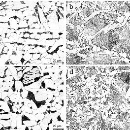 Optical Micrographs Of Specimens Download Scientific Diagram