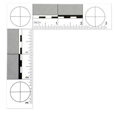 Abfo No 2 Photomacrographic Scale For Bitemark Analysis