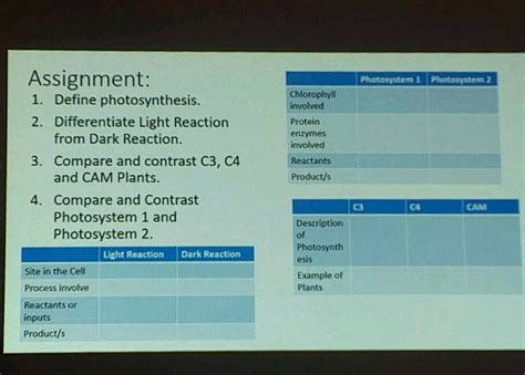 Assignment 1 Define Photosynthesis 2 StudyX
