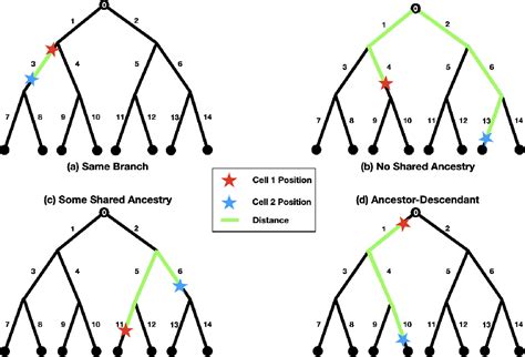Figure 3 From Trajectory Exploration And Inference For Scrna Seq Data