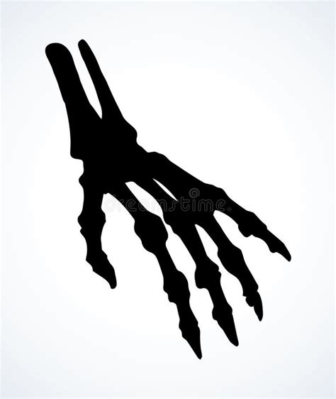 Metacarpal Sign Stock Illustrations 23 Metacarpal Sign Stock Illustrations Vectors And Clipart