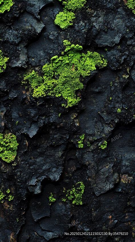 Ai创作图岩石肌理青苔 植物枯树皮 火山石苔藓 树皮龟裂素材 顽强生命力树皮纹理 树皮青苔背景 朦胧美纹理高清树皮 树皮与青苔 炫酷粗犷矿石裂痕 树皮与苔藓 火山岩肌理 高清树皮表面纹理 绿苔