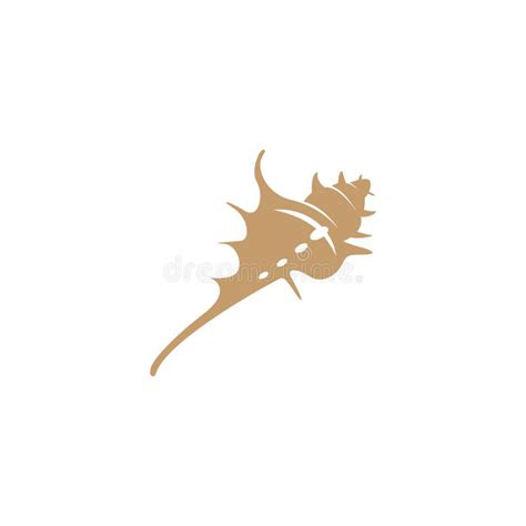 Beautiful Shell Icon Logo Design Stock Vector Illustration Of Mollusk