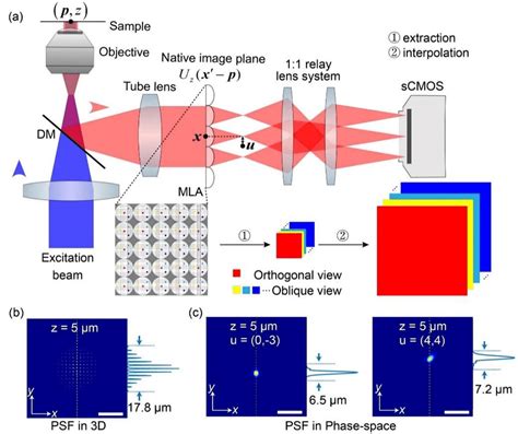 Schematic Of The Experimental Setup And The Principle Of Phase Space Download Scientific