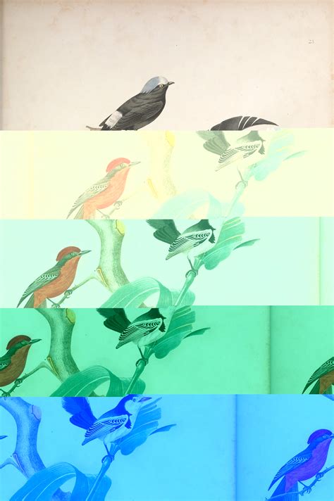 Glitch 5 R Glitch Art