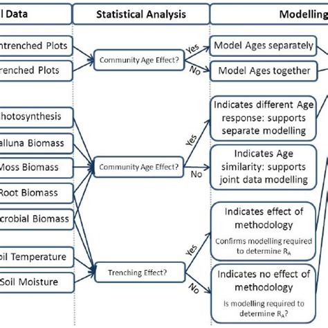 Schematic Representation Of The Data Analysis Workflow Download Scientific Diagram